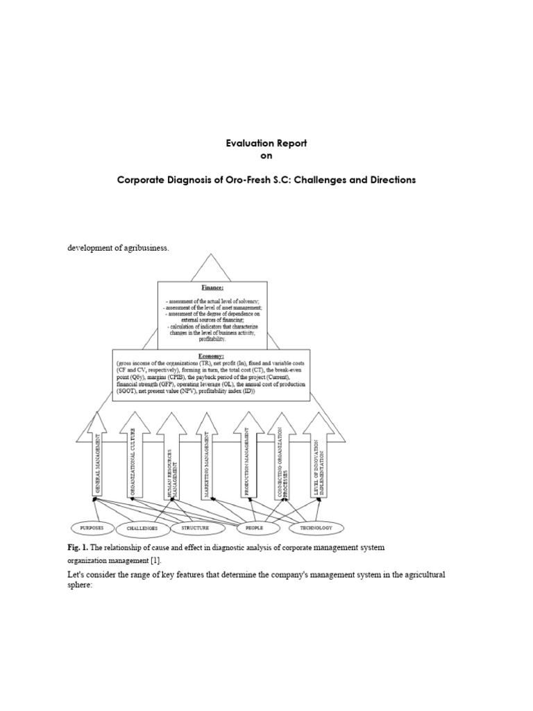 Oro-Fresh S.C. Corporate Diagnosis Report | PDF | Supply Chain | Ethiopia