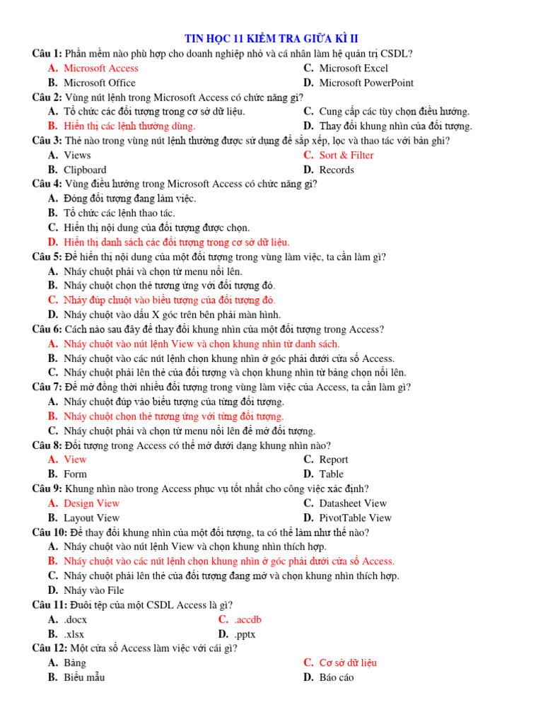 TIN HỌC 11 KIỂM TRA GIỮA KÌ II codapan | PDF