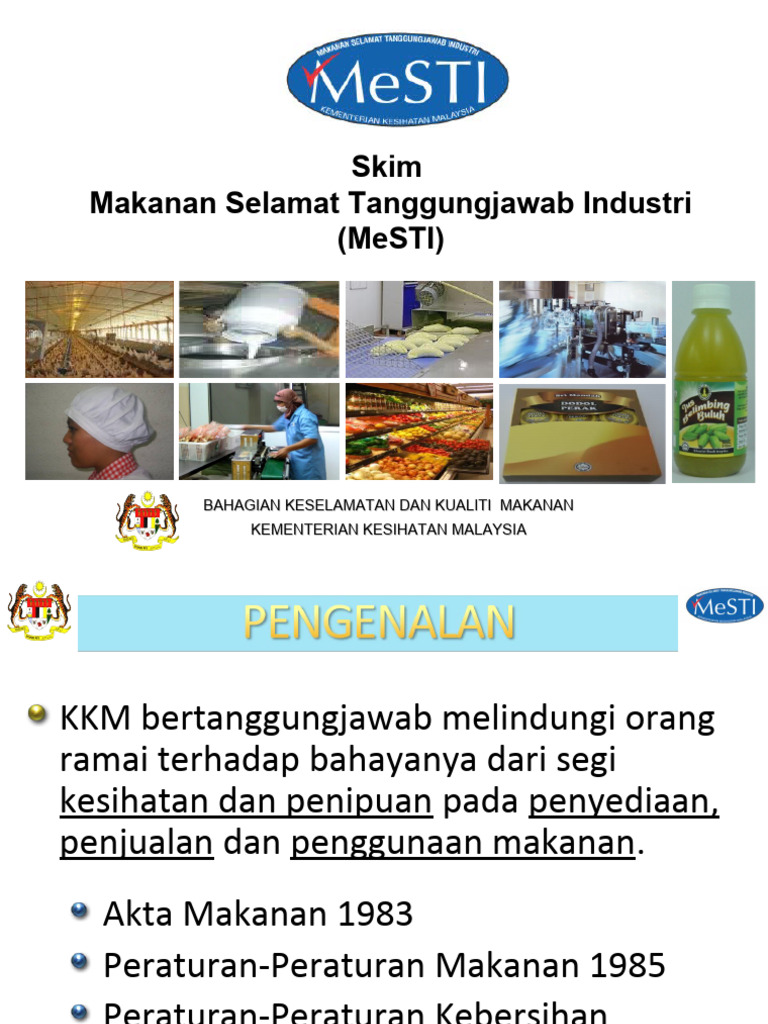 Pengenalan MeSTI - Farhana | PDF