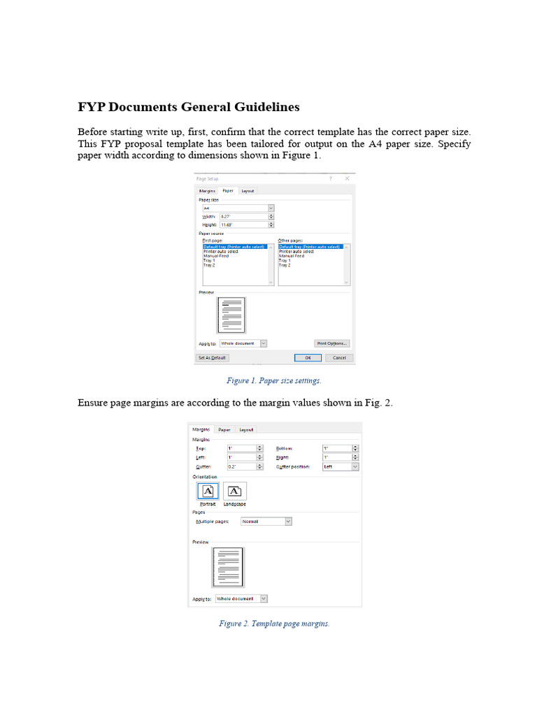 FYP - Writing Guidelines | Download Free PDF | Times New Roman | Page Layout