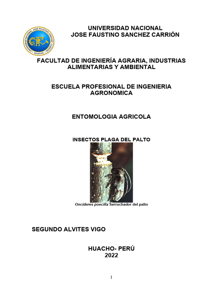 Insecto Plaga Del Palto | PDF | Insectos | Crisálida