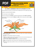 Nematode Species and Common Names List | PDF | Parasites | Plants