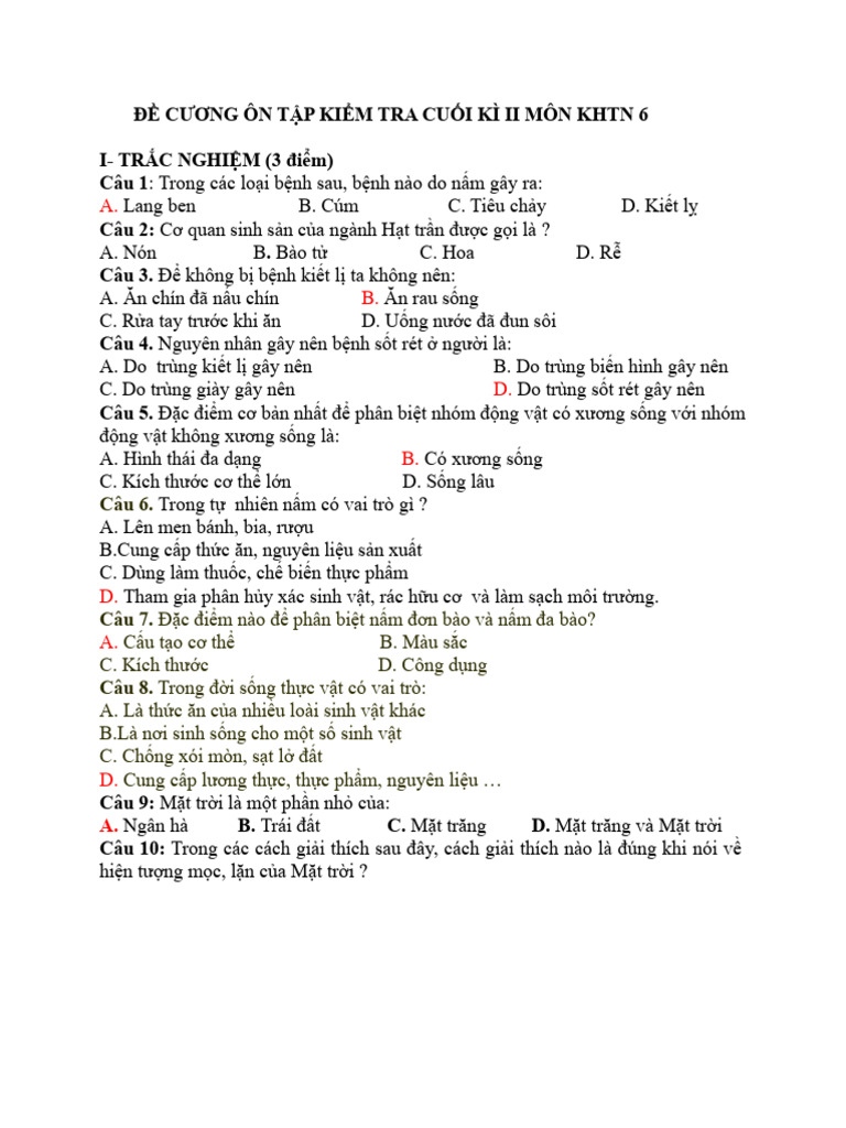 De Cuong Cuoi Ki II | PDF