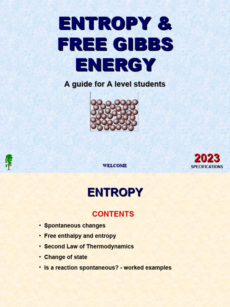 Entropy & Free Gibbs Energy | PDF | Entropy | Solvation