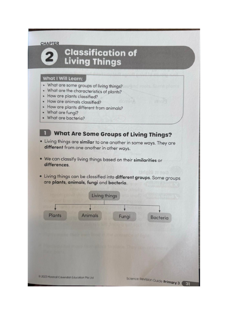 Classification of Living Thing | PDF
