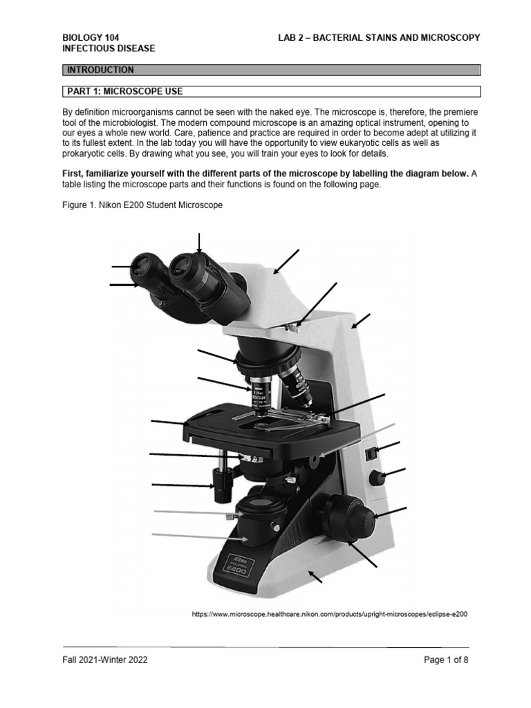 F21 - Bio 104 Lab2 Stains and Microscopy 2 | PDF | Staining | Microscope