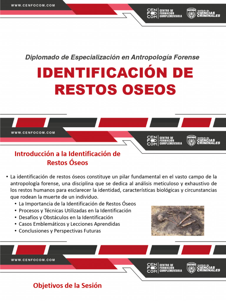 Identificación de Restos Óseos en Forense | PDF | Antropología ...