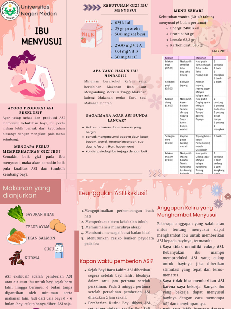 Gizi Seimbang untuk Ibu Menyusui | PDF