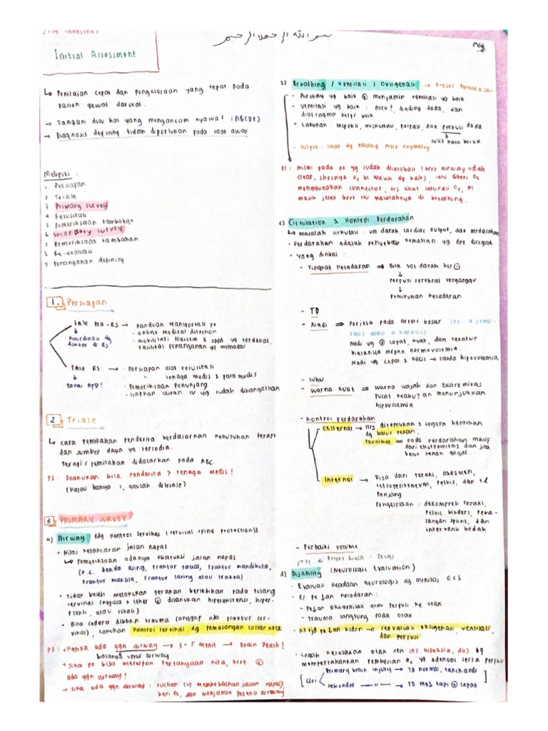 Initial Assessment | PDF