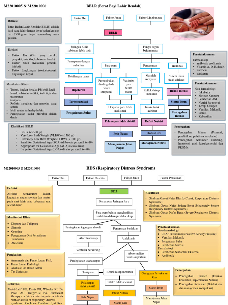 WOC BBLR, RDS, Asfiksia, Hiperbilirubinemia - Kel 4 | PDF