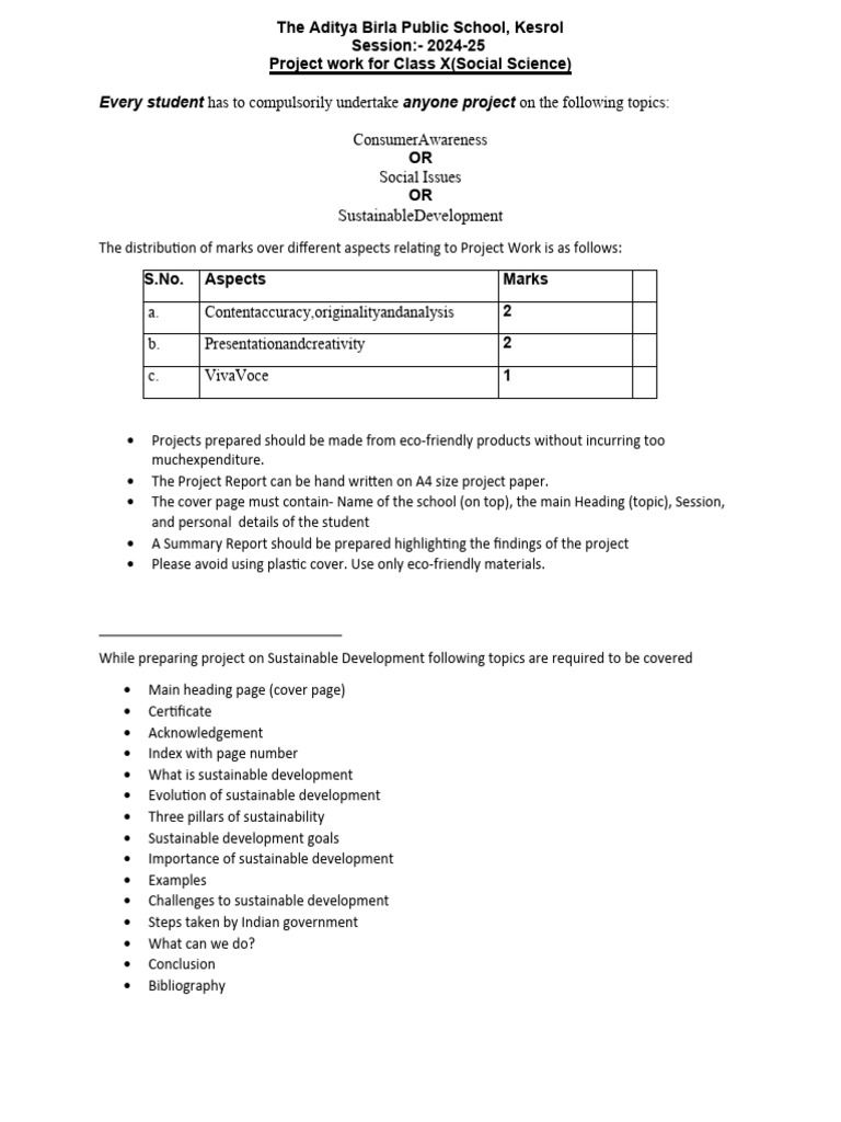 Project Work _Class X_SST | PDF