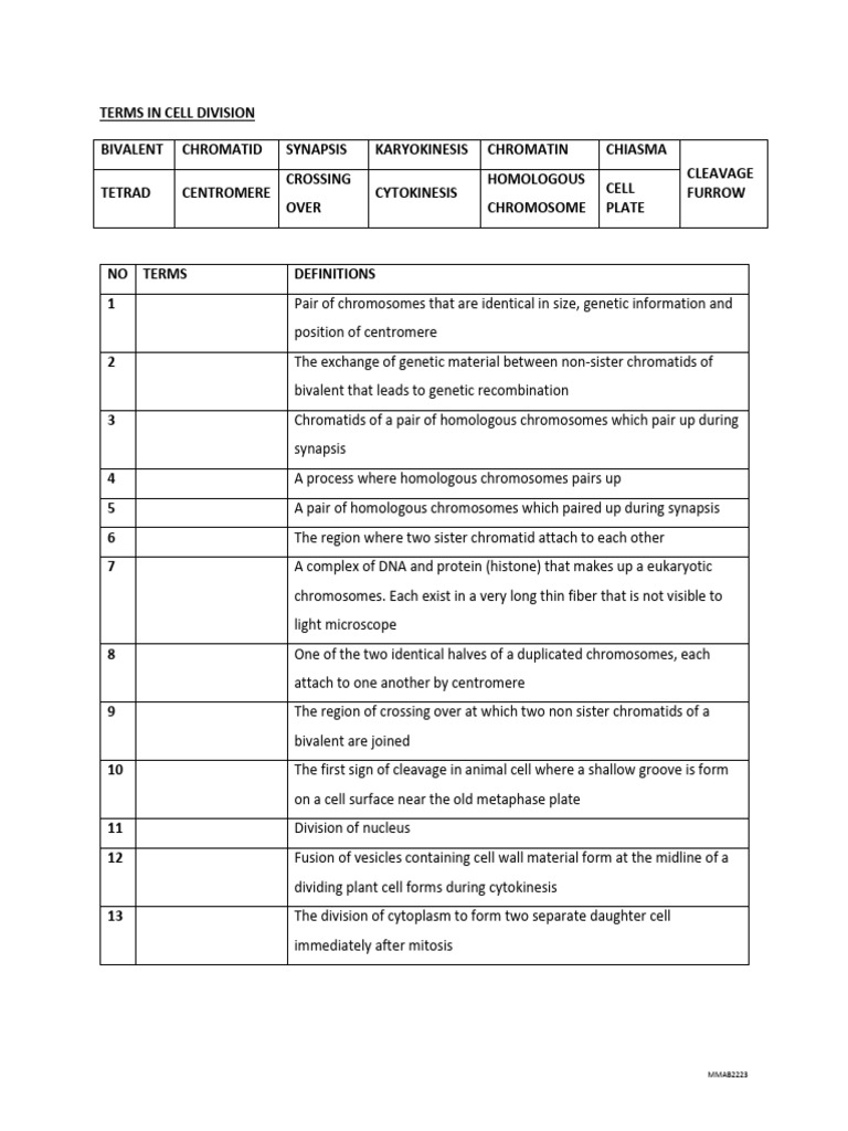 Cell Division Terms & Processes | PDF | Chromosome | Mitosis