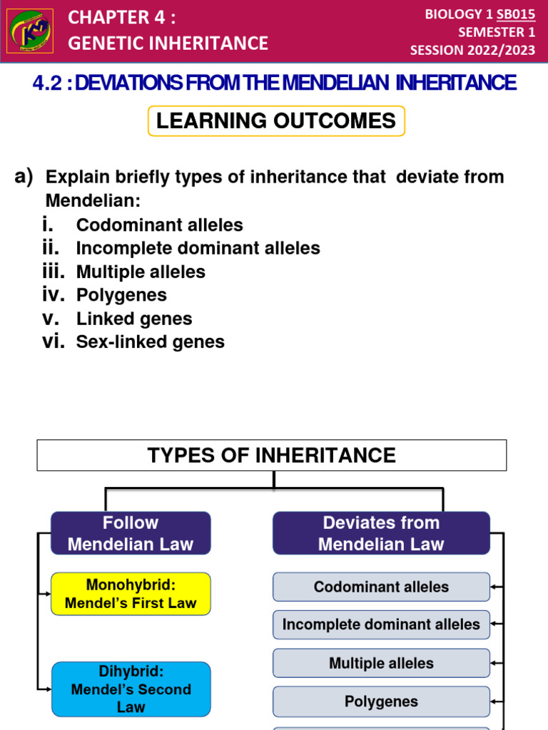 4.2 Deviations From the Mendelian Inheritance | PDF | Dominance (Genetics) | Allele