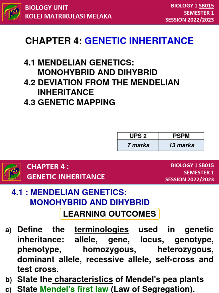 4.1 Mendelian Genetics Monohybrid and Dihybrid | PDF | Dominance ...