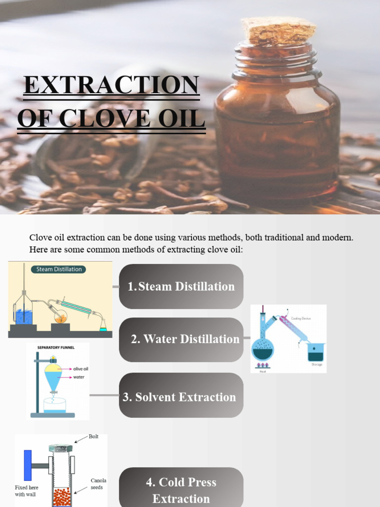 Extraction of Clove Oil | PDF