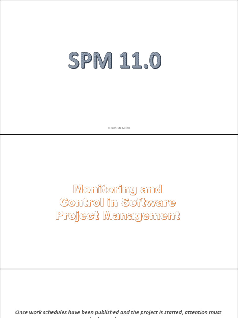 SPM 11.0 | PDF | Version Control | Information Technology