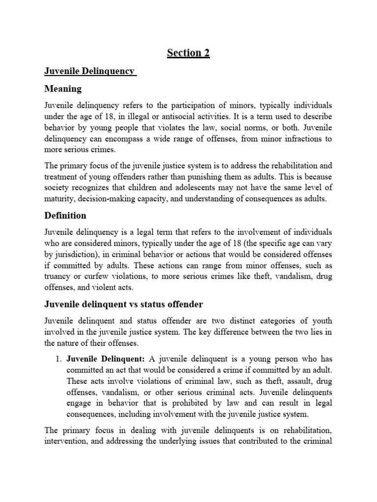 Section 2 | PDF | Juvenile Delinquency | Juvenile Court
