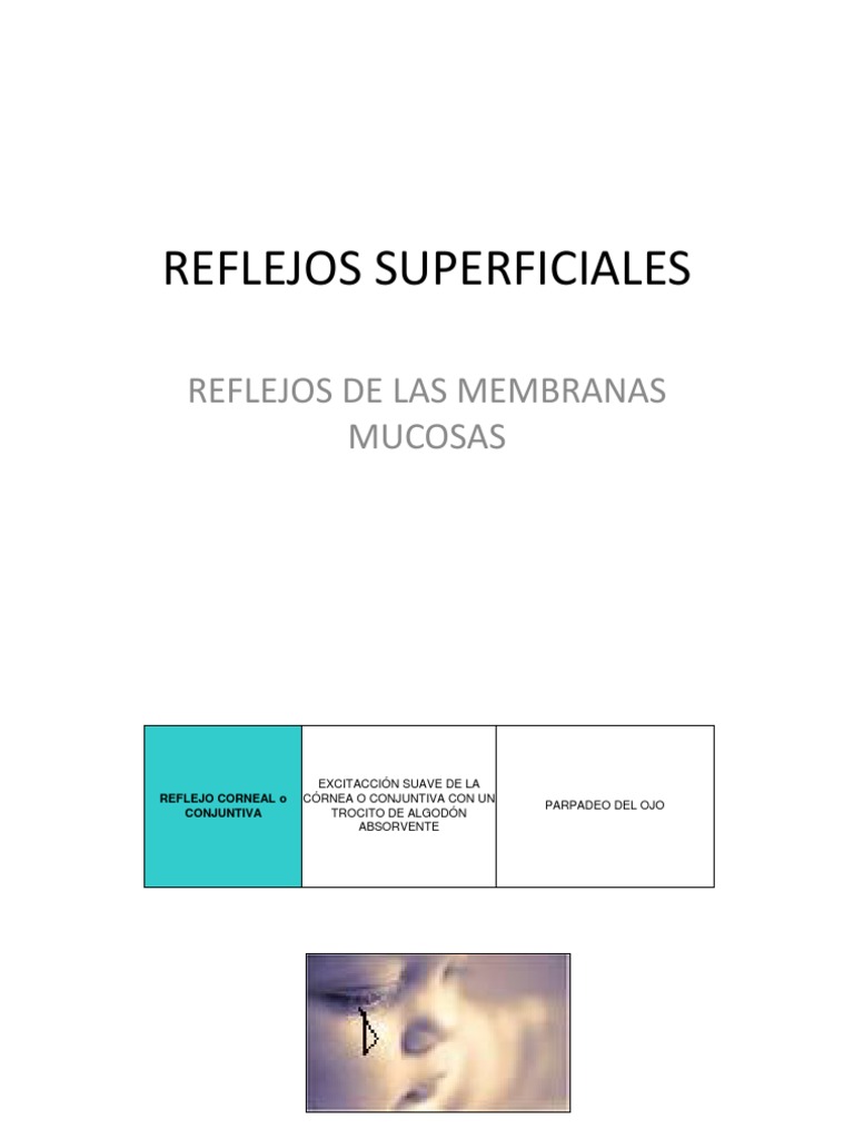 Tipos de Reflejos Superficiales | PDF