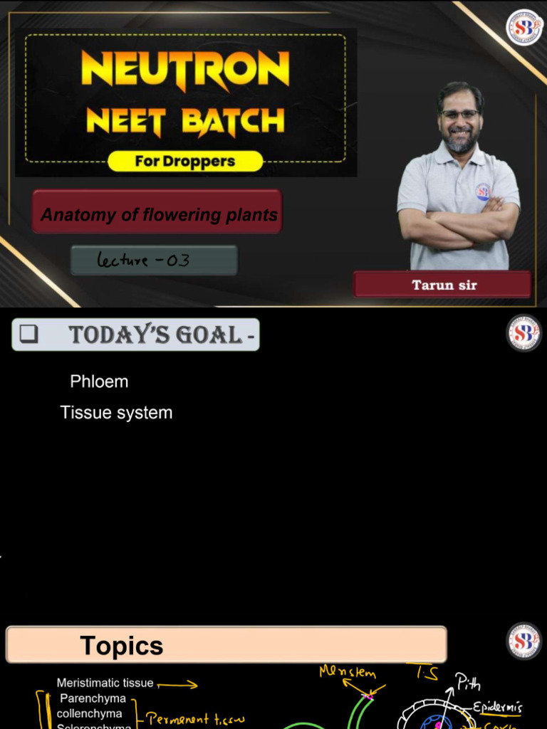 Lec 3 Class Notes Anatomy Of Flowering Plants Pdf