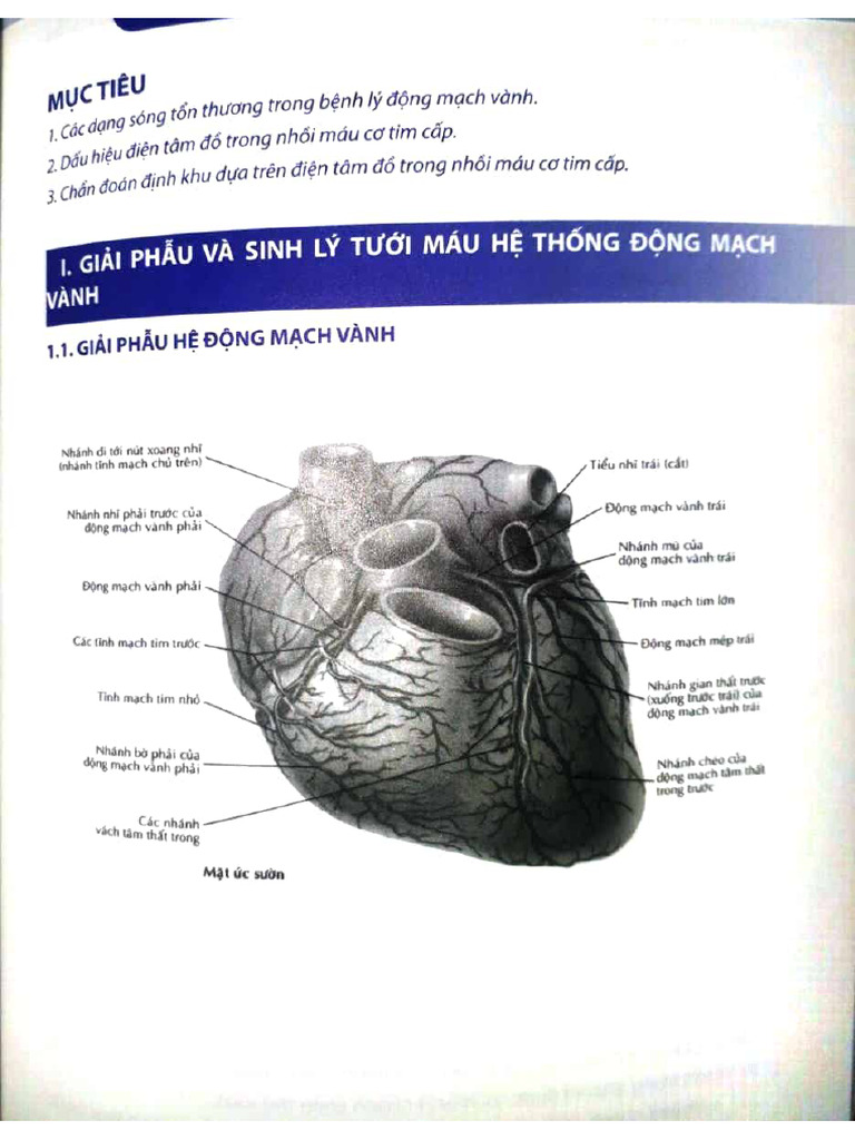 ChÆ°Æ¡ng 10 - Ä Iá N TÃ M Ä Á TRONG Bá NH LÃ Ä Á NG Máº CH VÃ NH | PDF