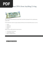 DNA Extraction from Onions Explained | PDF | Cell (Biology) | Cell Nucleus