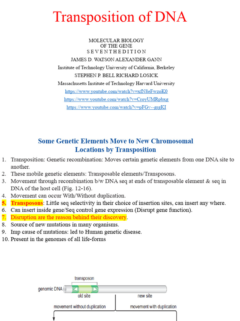 Transposition 1 | PDF | Transposable Element | Dna
