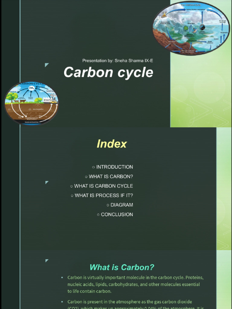Carbon Cycle Explained: Key Processes | PDF | Carbon Cycle | Carbon Dioxide