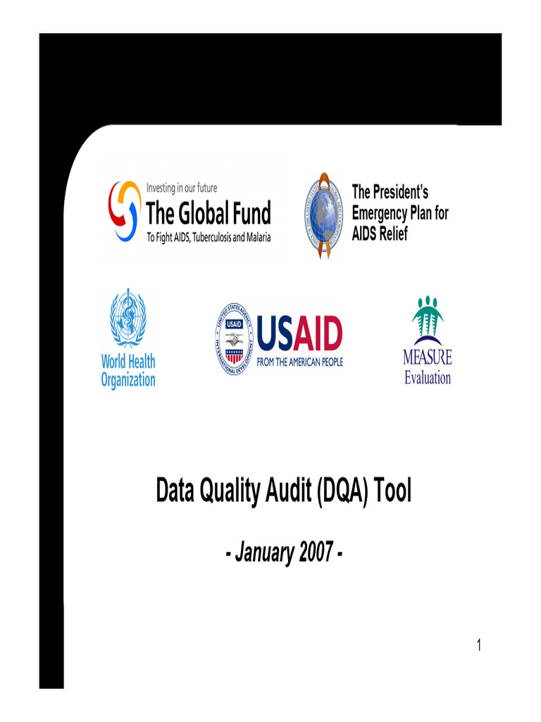 Data Quality Audit Tool | PDF