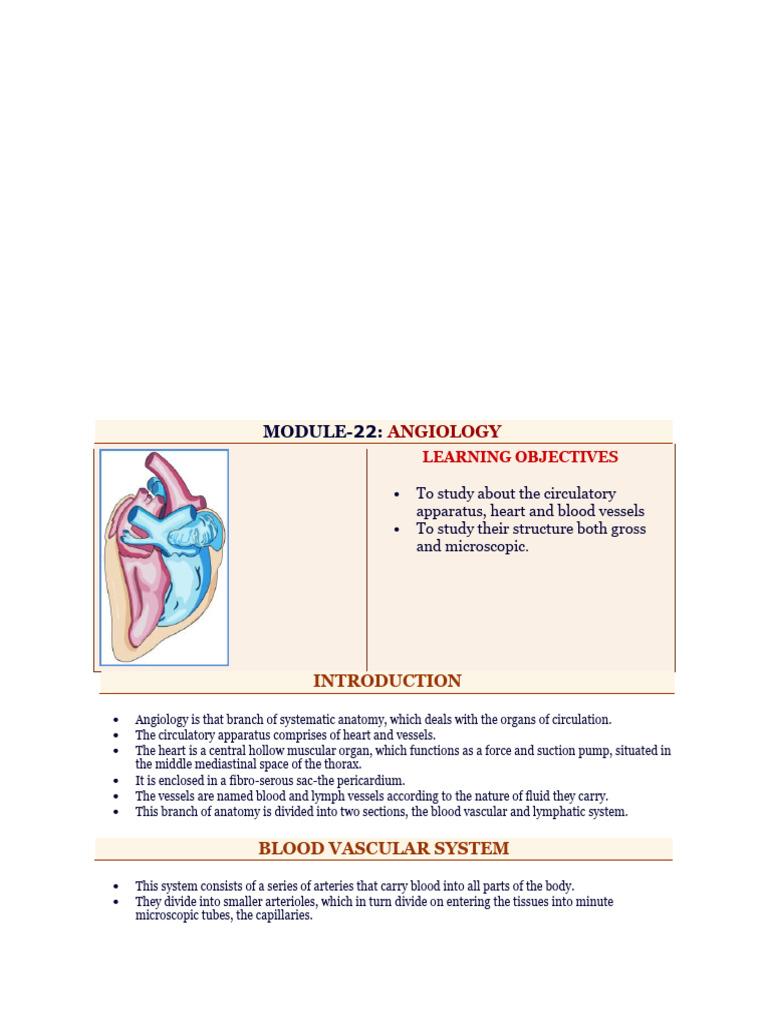 Angiology | PDF | Heart Valve | Aorta