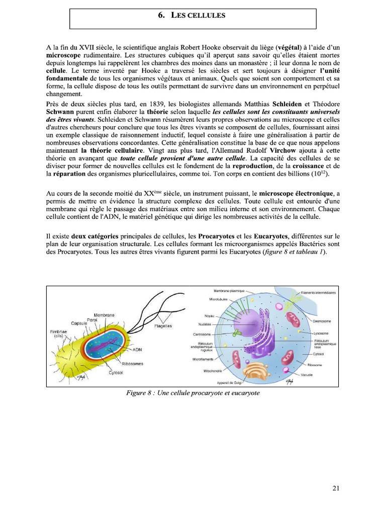 df1 Cellules | PDF