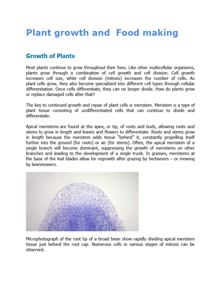 Plant Growth and Photosynthesis Explained | PDF | Photosynthesis ...