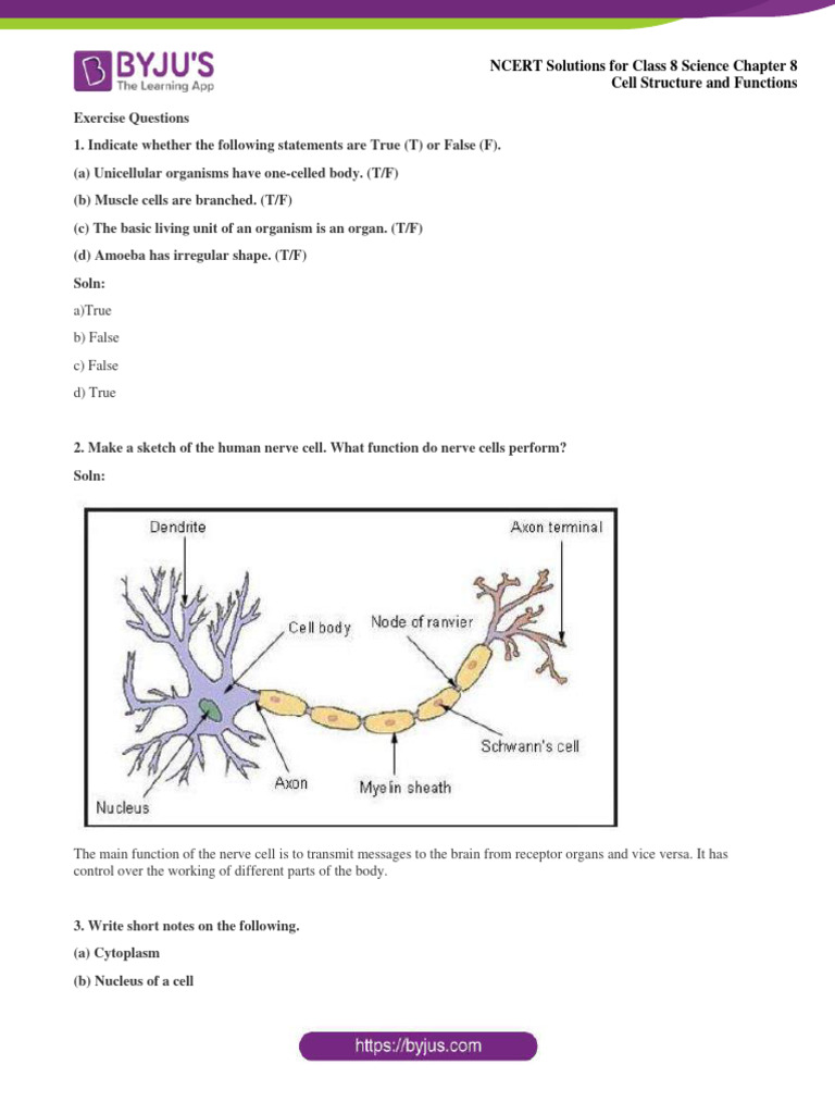 Ncert Solutions For Class 8 March 31 Science Chapter 8 Cell Structure and Functions | PDF | Cell ...