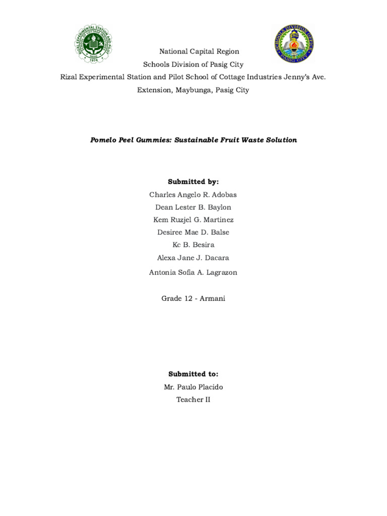 Example of Concept Paper | Download Free PDF | Survey Methodology