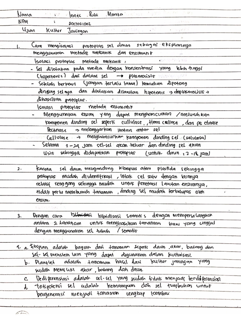 Innes Putri Monika - 2017021002 - Ujian Kult | PDF
