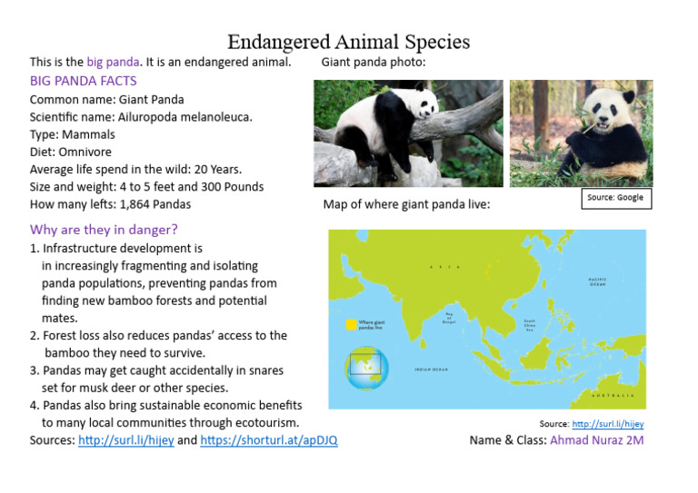 The Endangered Species | PDF