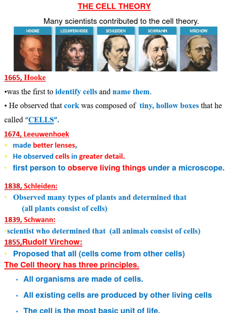 The Chapter 3.1 GRD 10 Final | PDF