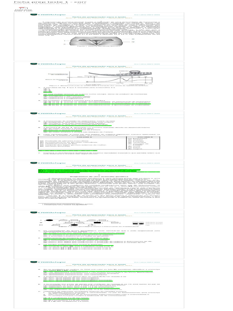 Ficha Prep Ciência Correção Pdf