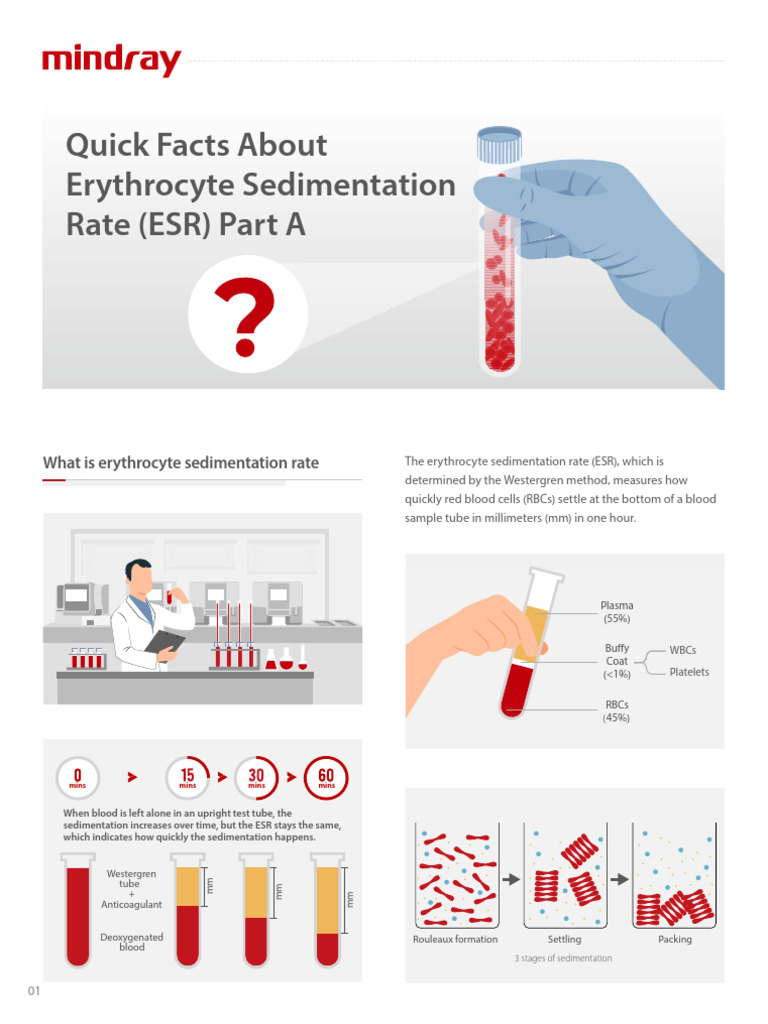 ENG-quick-facts-about-erythrocyte-sedimentation-rate-part-a | PDF ...
