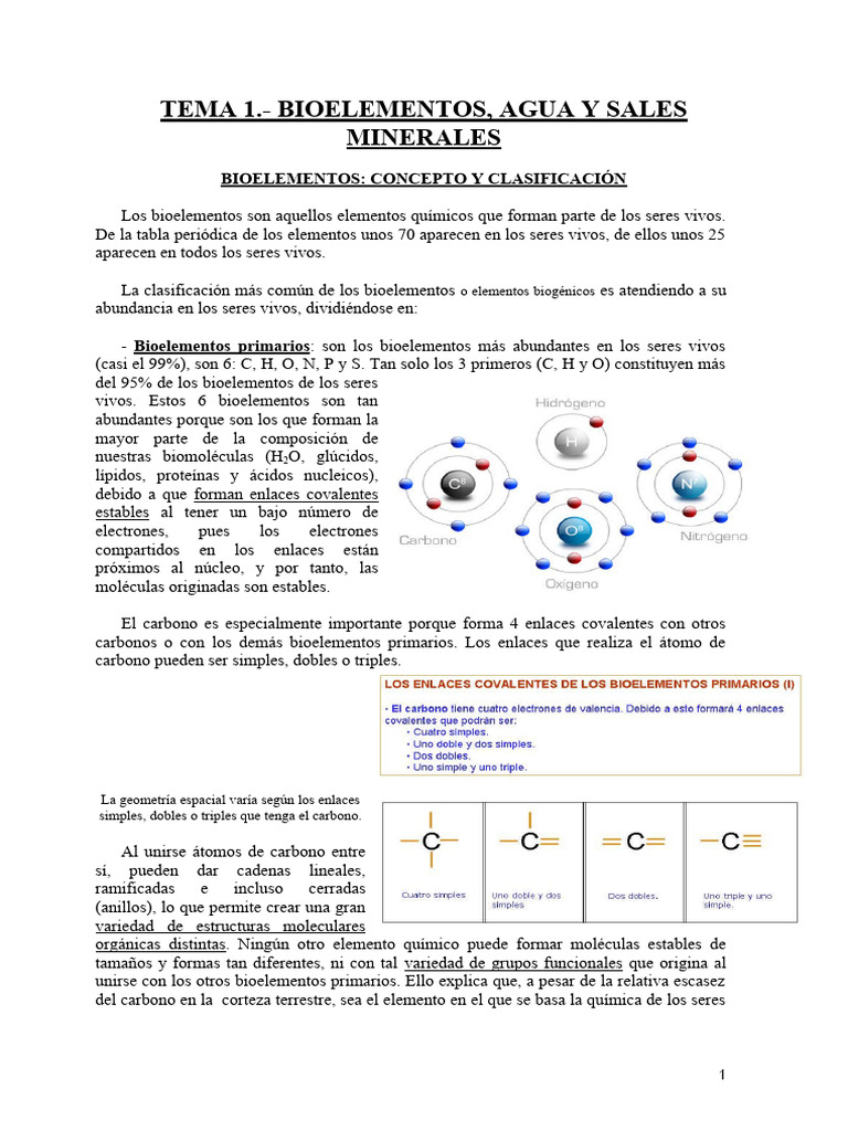 Bioe y Biomolecl2018-19 | PDF | Propiedades del agua | Polaridad química