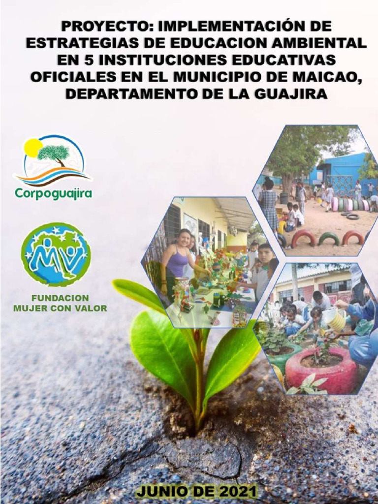 Proyecto Educacion Ambiental | Descargar gratis PDF | Sustentabilidad ...