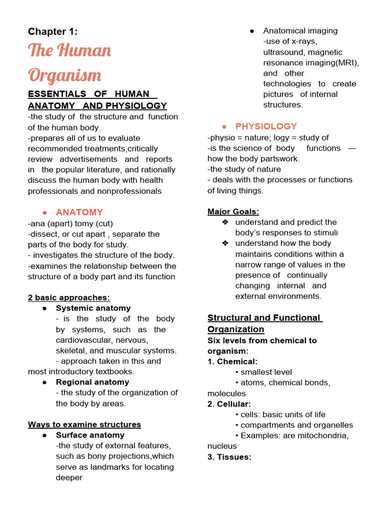 ANAPHY CHAPTER 1 | Download Free PDF | Anatomical Terms Of Location ...