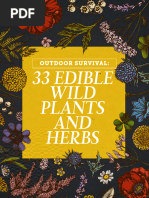 Field Guide To Edible Wild Plants PDF | PDF | Berry | Vegetables