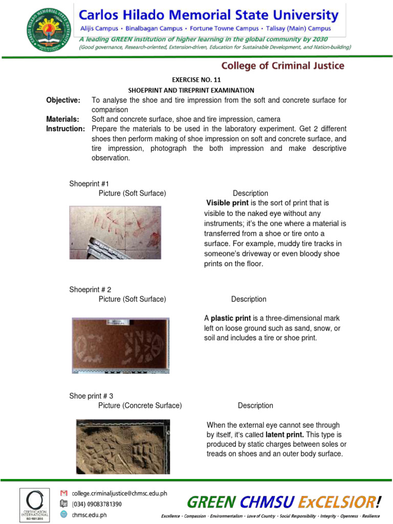 Final Period Lab Activity Shoeprint | PDF | Tire | Concrete