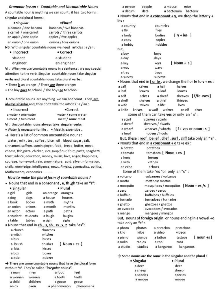 countable nouns | PDF | Plural | Grammatical Number