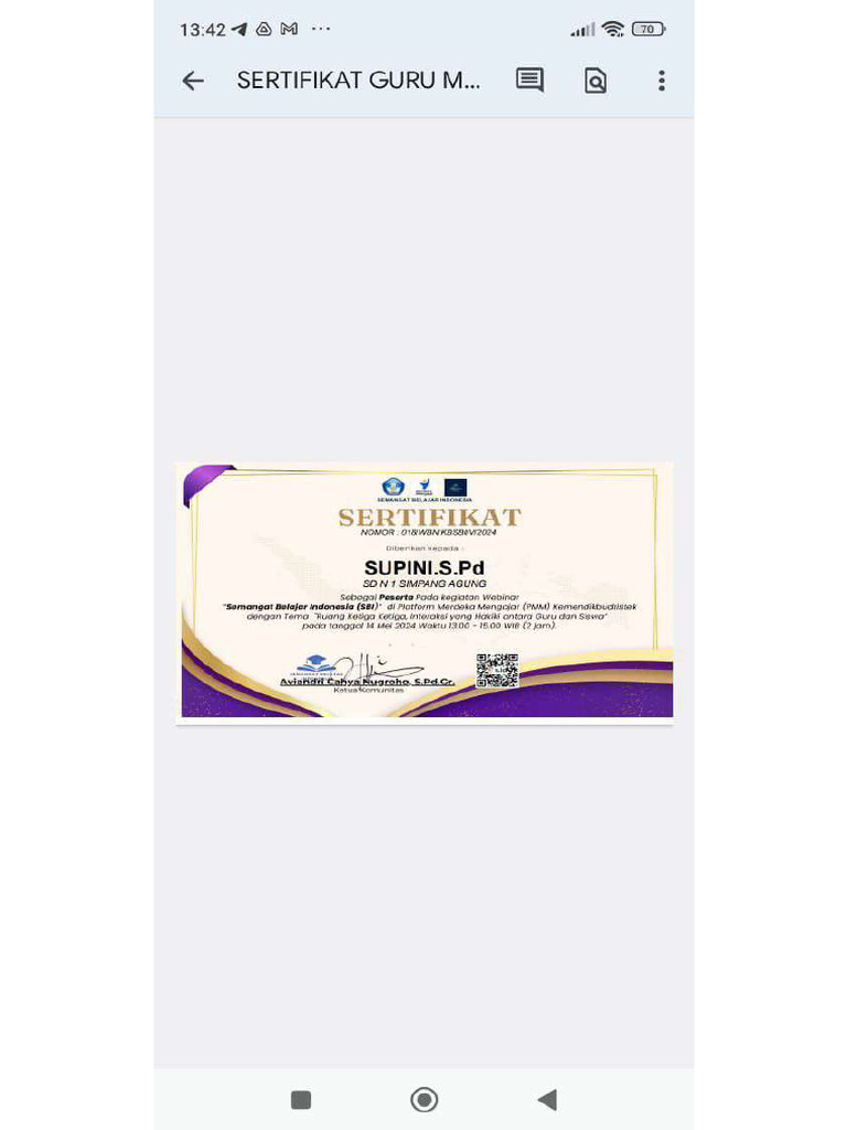 Supini Webinar 3 | PDF