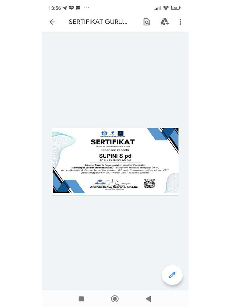 supini webinar 4 | PDF