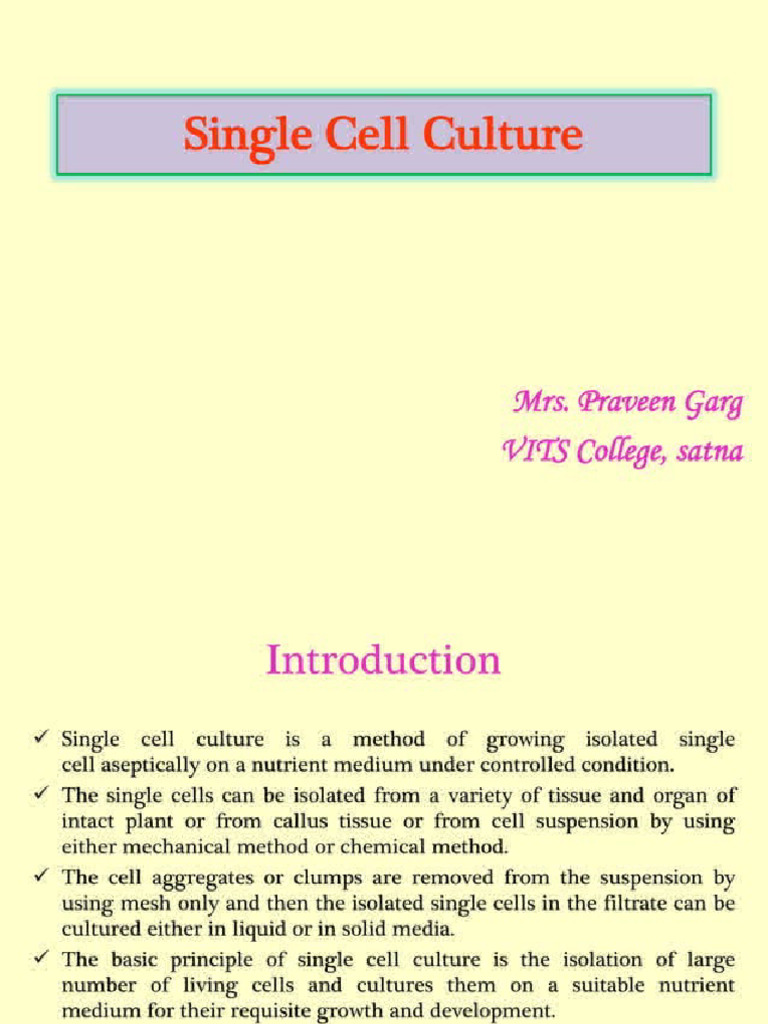 Single Cell Culture | PDF