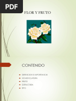 Morfología de Frutos: Silicua y Cipsela | PDF | Fruta | Morfología Vegetal