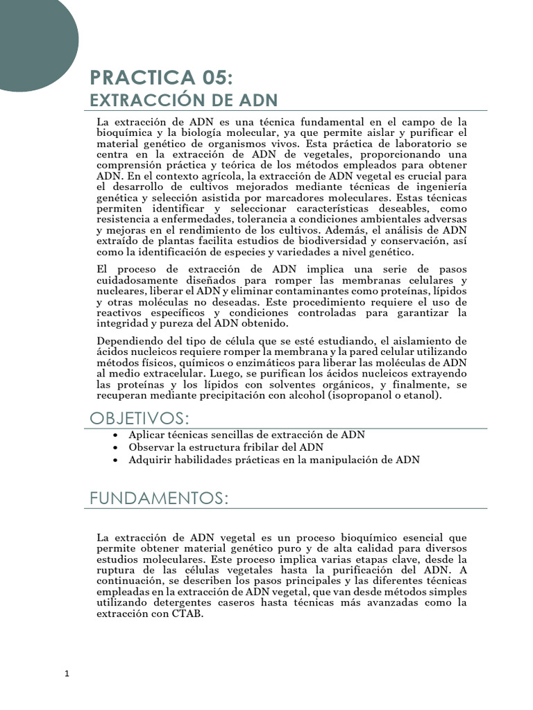 Practica 05 Dna | Descargar gratis PDF | Adn | Biología Celular)