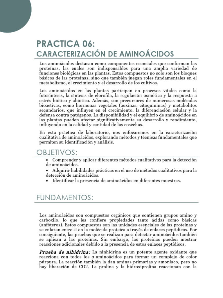 PRACTICA 06 Caracterización de Aminoácidos | PDF | Proteínas | Aminoácidos